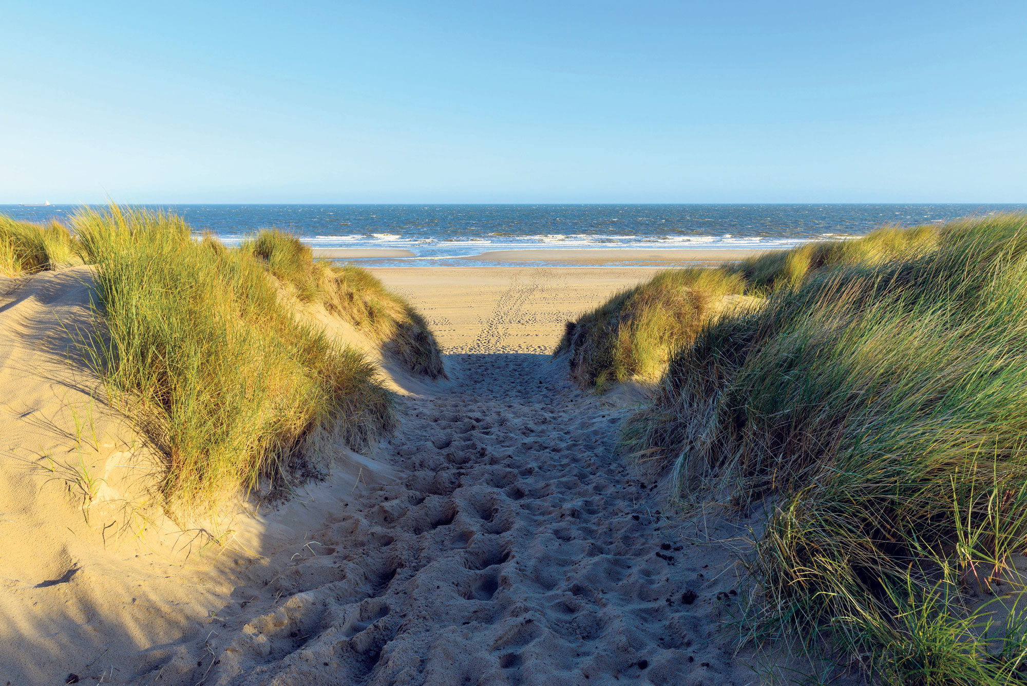 De steunberen van kathedraal Antarctica vallen één voor één om