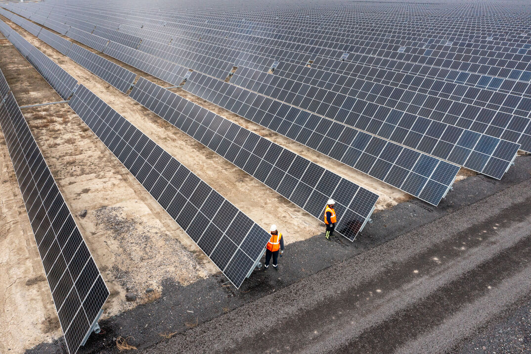 De weg naar goedkope en schone energie is geplaveid met groenflatie en ...