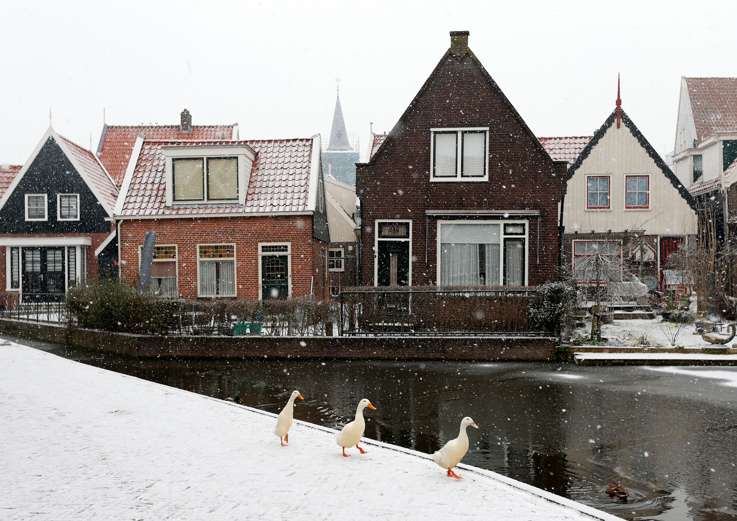 KNMI geeft code rood af voor zondag wegens winterweer, GGD's staken ...