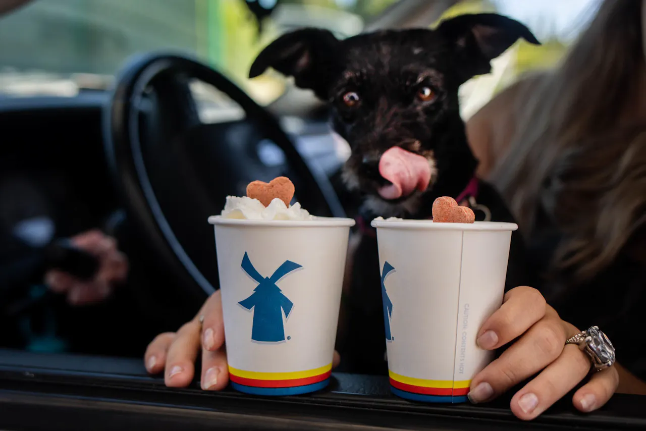 Van melkveehouder tot koffiemiljardair: Dutch Bros maakt debuut op Wall ...