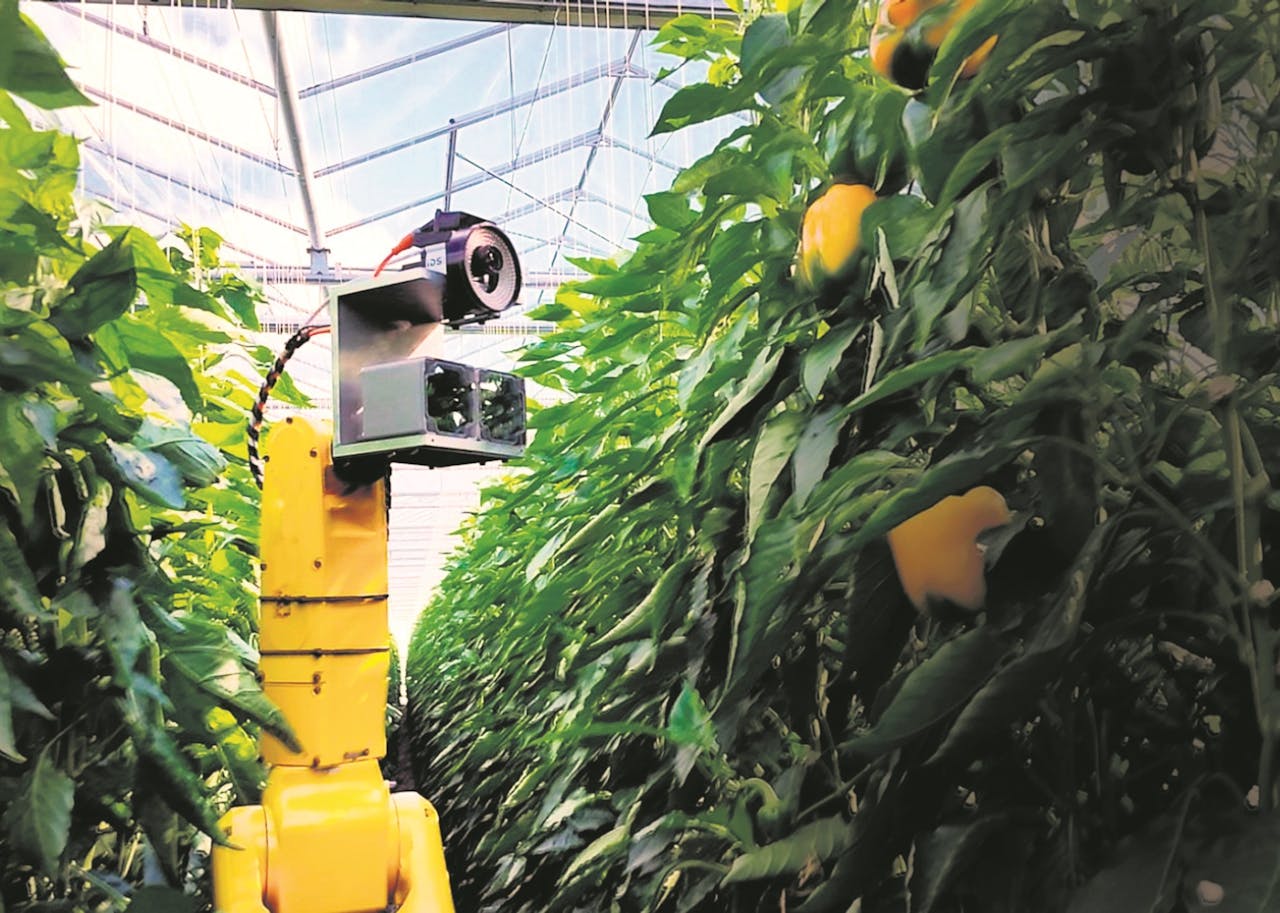 Plukrobot leeft zich uit op een muur van fruit