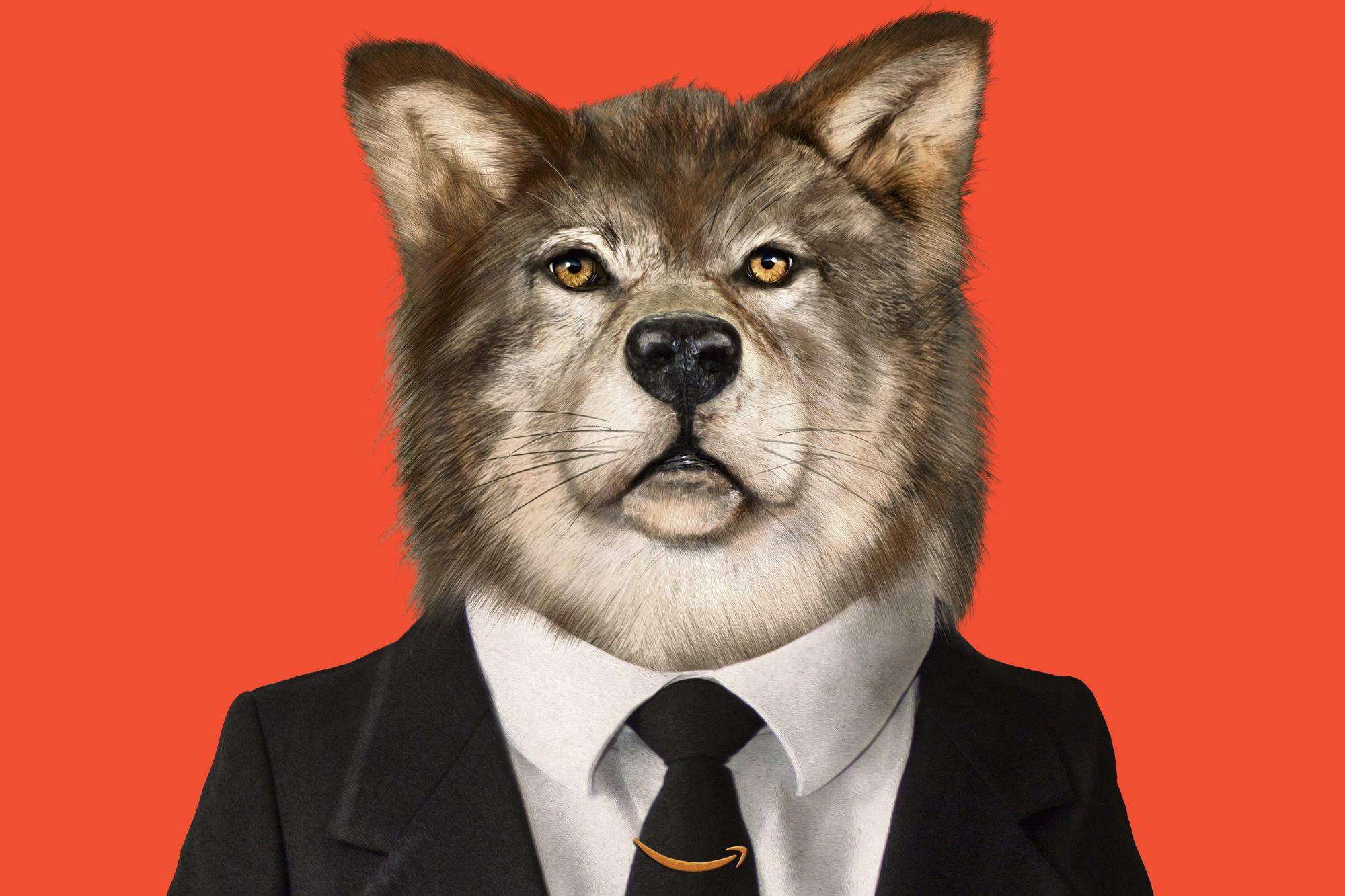 Amazon: wolf in wolfskleren voor start-ups