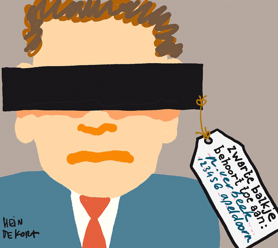 Partijen moeten transparant zijn over gebruik van big data bij verkiezingen