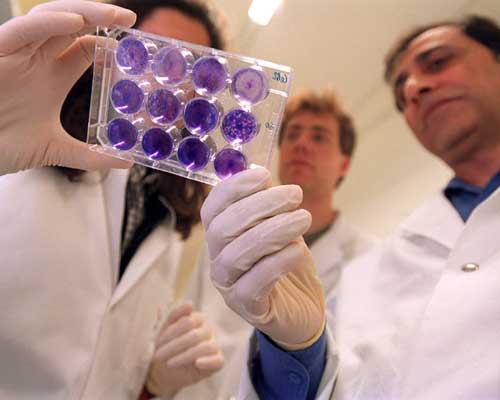 Crucell krijgt grootste order uit geschiedenis