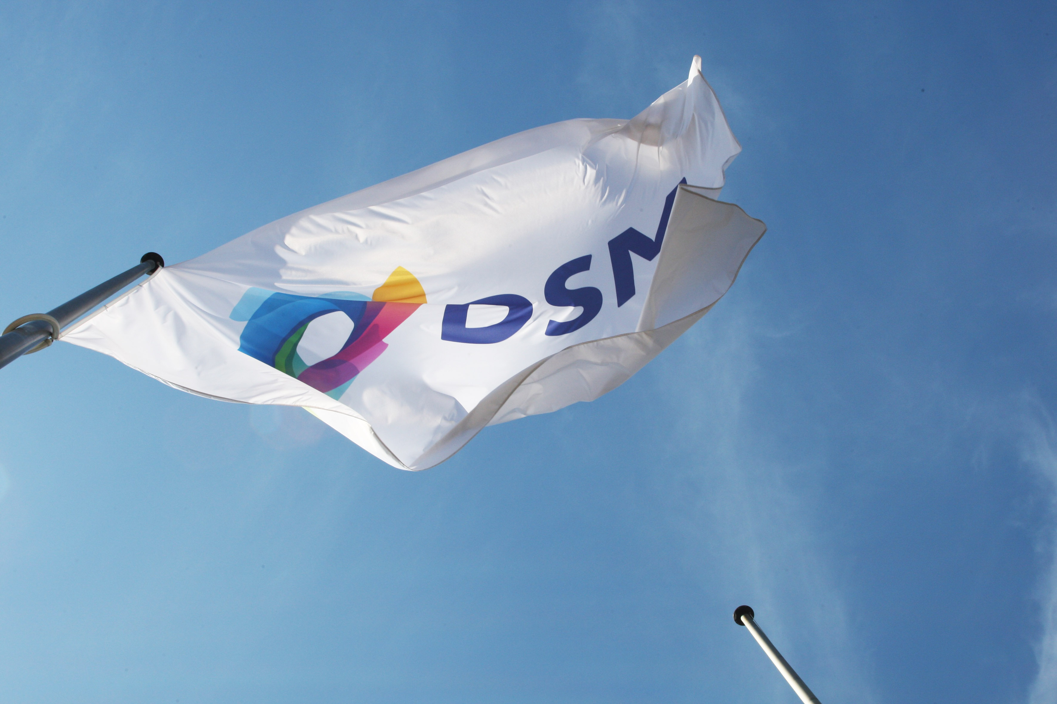 DSM trekt beurs voor lab in Delft